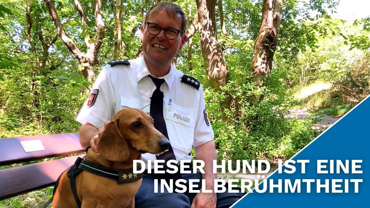 Spiekeroogs Inselpolizist immer auf Streife mit Dackel Hubert - YouTube