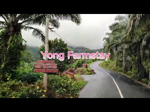 Yong Farmstay Tenom - YouTube