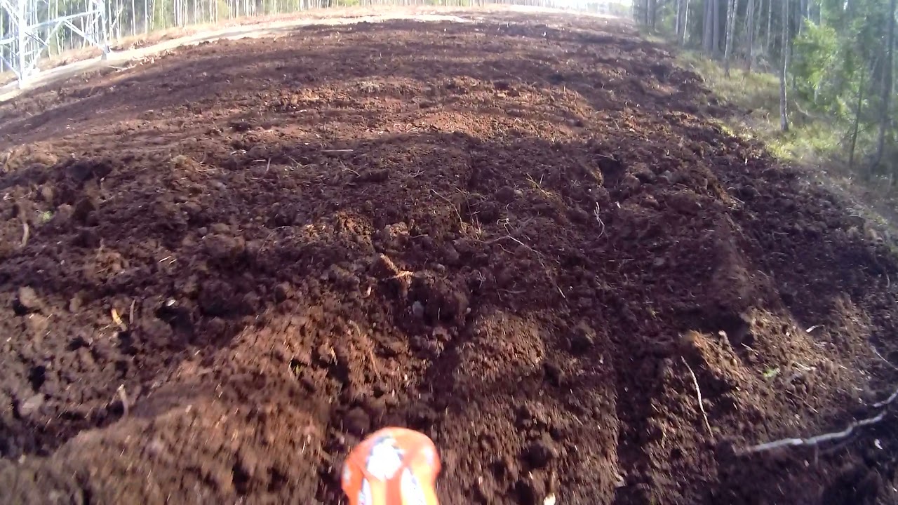 stuck in a swamp. - YouTube