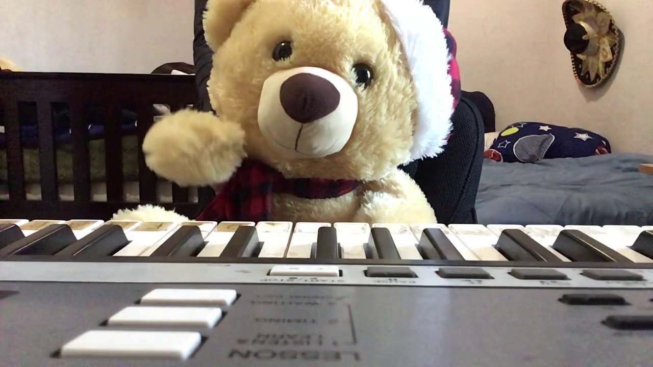 Bear Plays Beethoven - YouTube