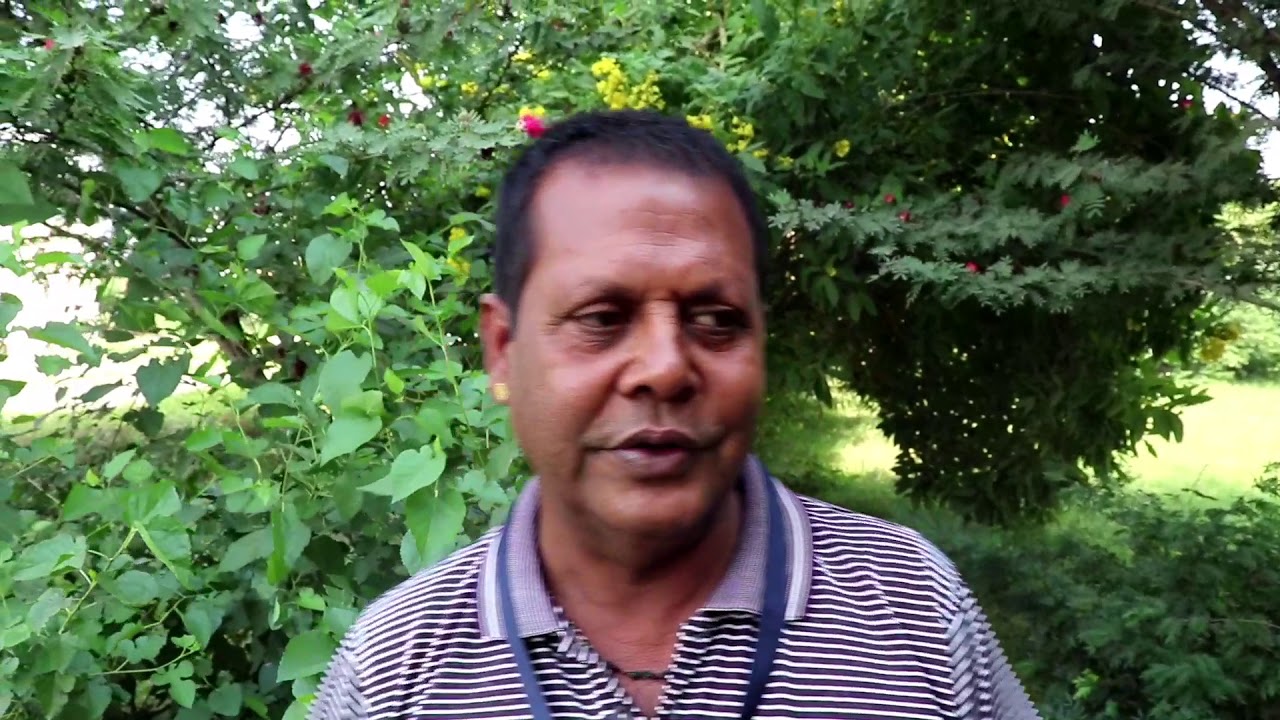 Mauritius waste decomposer of NCOF, WDC - YouTube