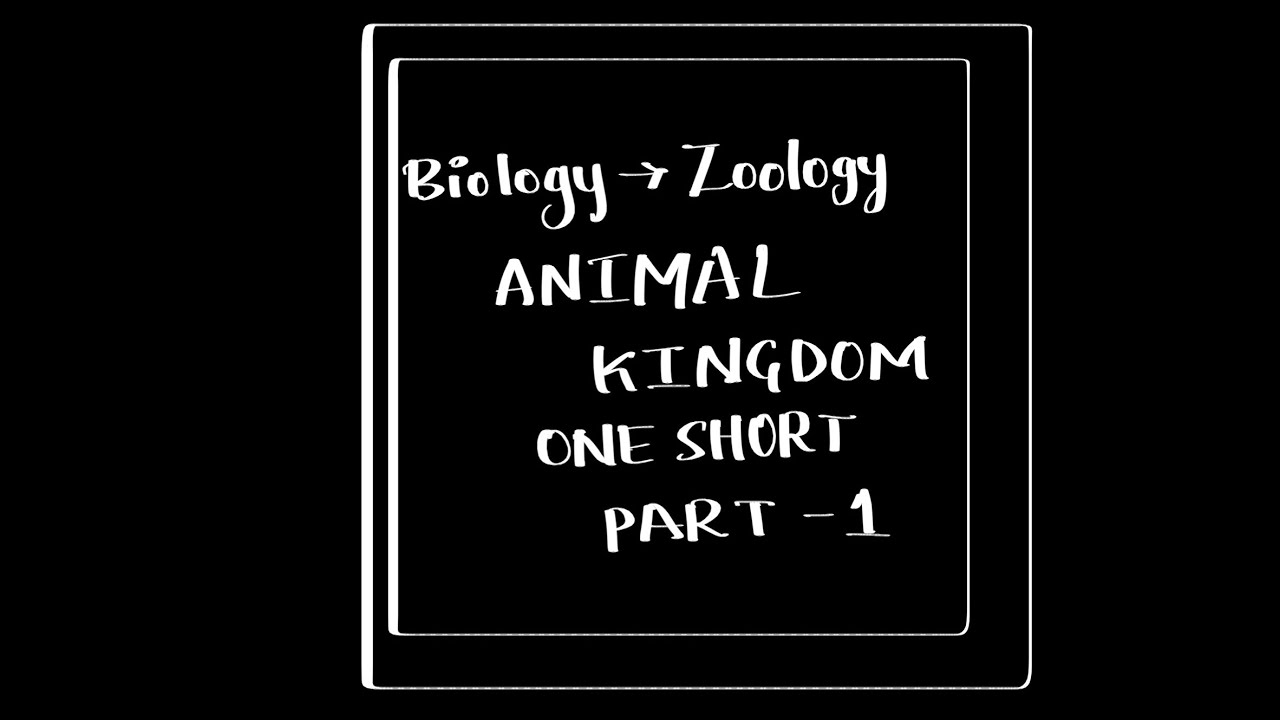 Biology/zoology animal Kingdom inone shot part 1 class 11th#mind map ...