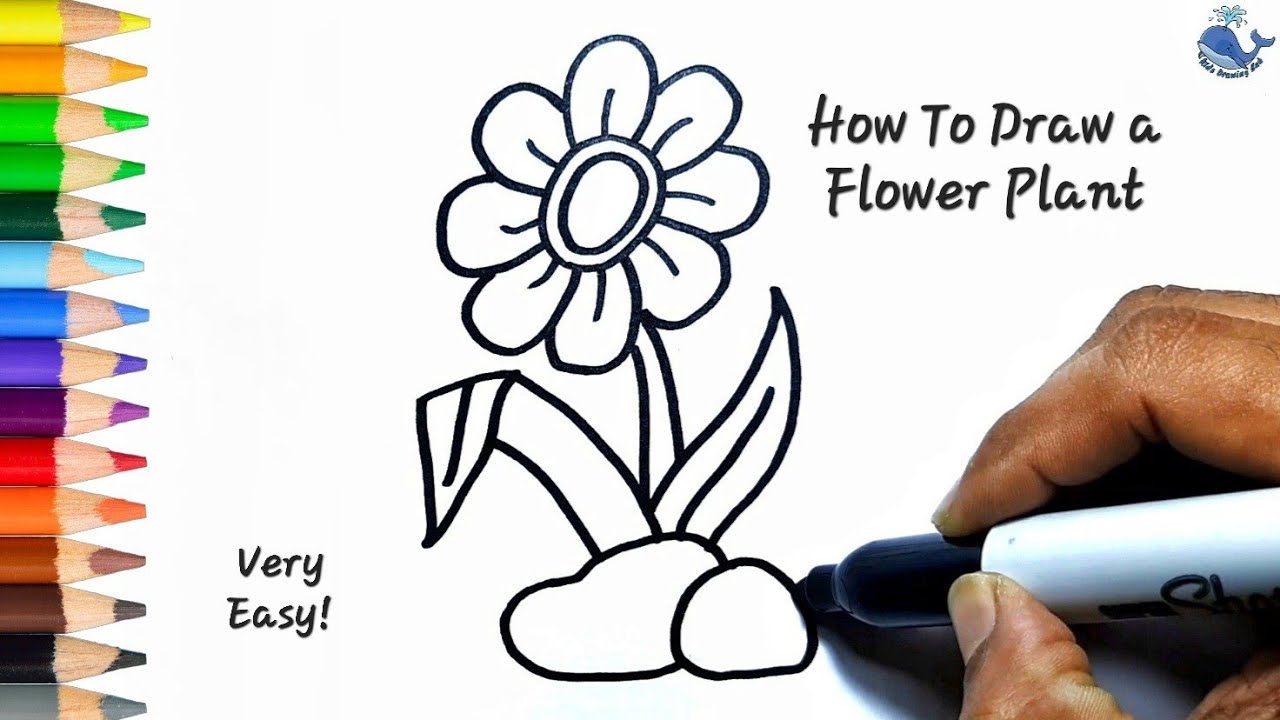 How To Draw a Flower Plant | Kids Drawing Video | Step By Step Drawing ...