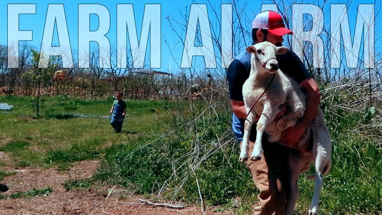 How we became Backyard Farmers - episode 1 - One Year on a Farm - YouTube