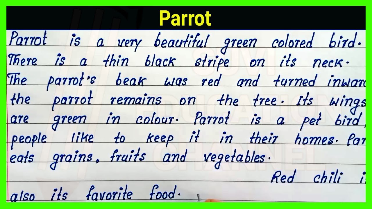 Write simple English essay on Parrot | Parrot English Paragraph writing ...