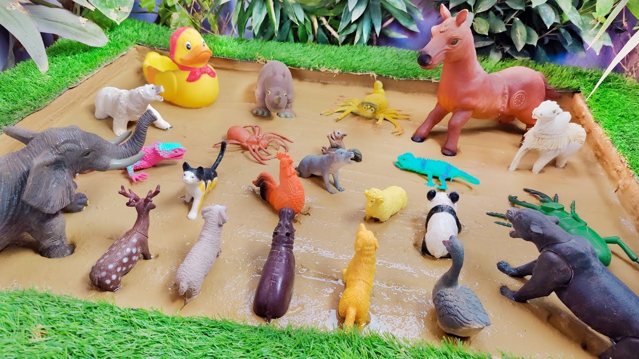 Forest Animals Savannah Animals Adventure for Kids 🦊🐰 Education Fun ...