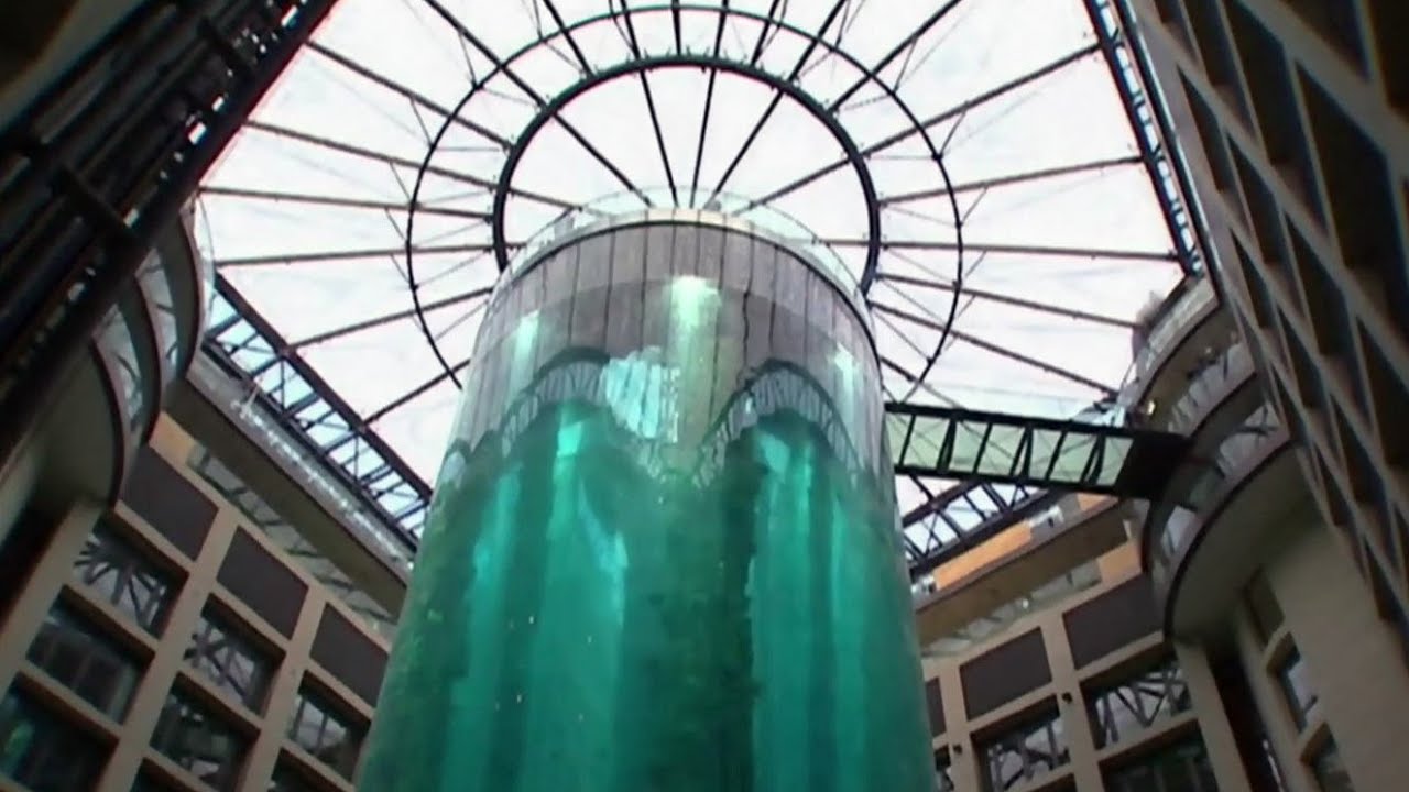 Massive aquarium with 1,500 tropical fish inside bursts at a Berlin ...