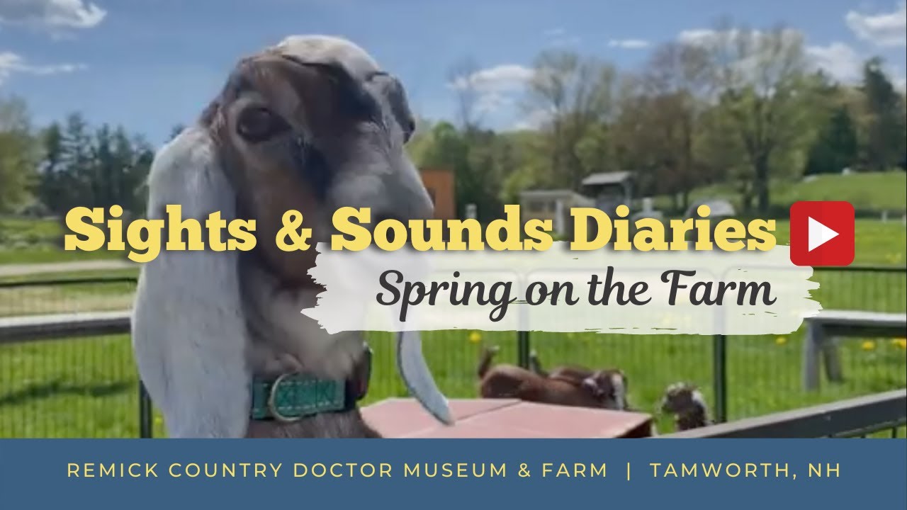 Spring on the Farm - YouTube