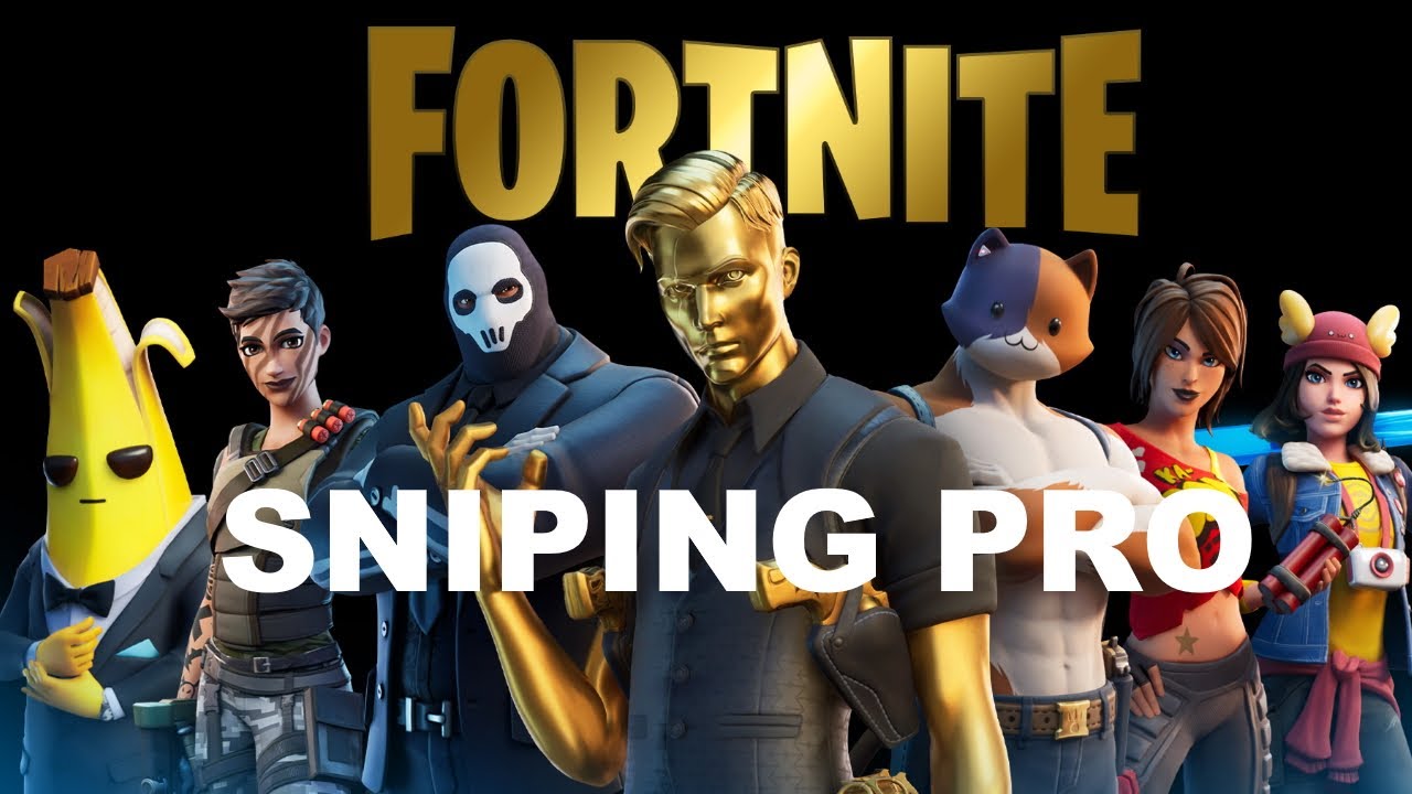 Fortnite - SNIPING PRO - YouTube