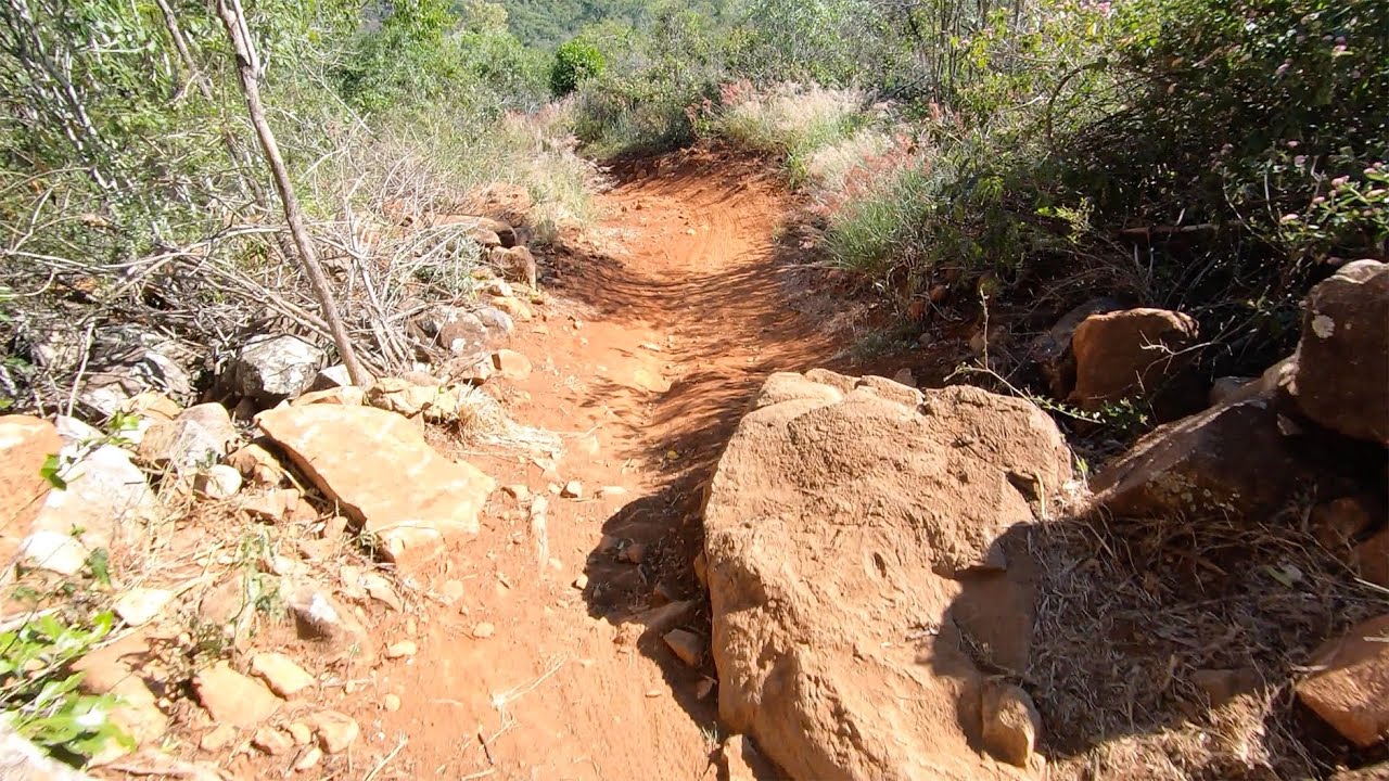 Cactus, First Turkey Mountain Bike Reserve - YouTube