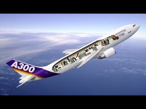 American Airlines Flight 587 Disaster over New York - YouTube