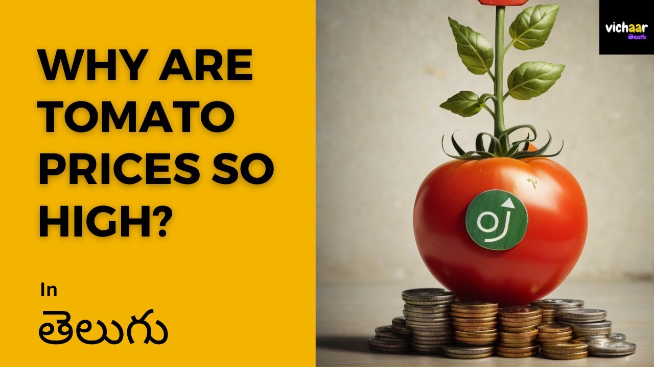 Why Tomato Prices are So High? - YouTube
