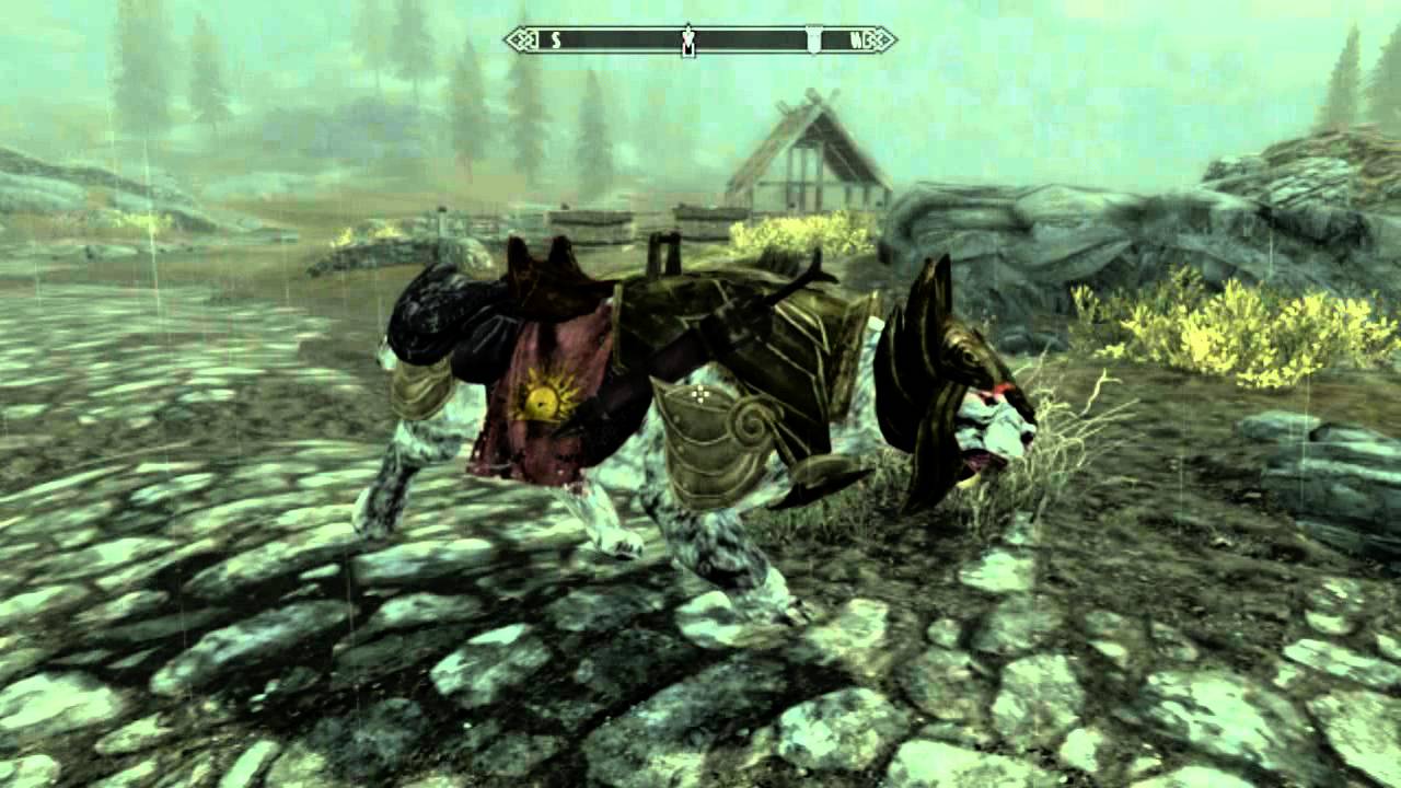 Armored Sabre Cat Mount In Skyrim - YouTube