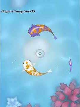 Zen Koi 2 mating - YouTube