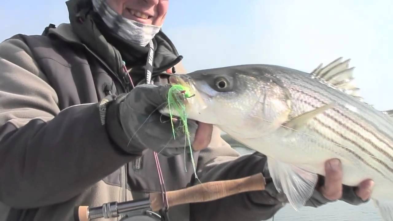 Fly Fishing the California Delta with Capt. Steve Santucci - YouTube