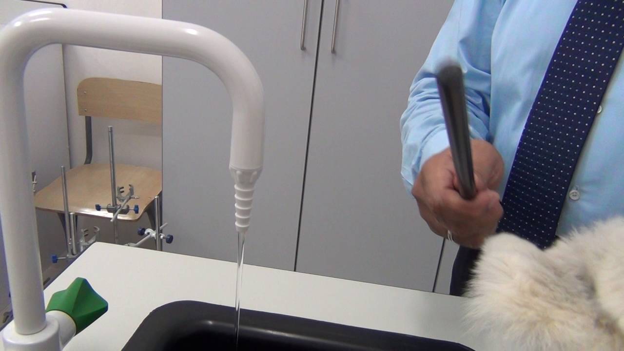 Electrostatic experiment on water - YouTube