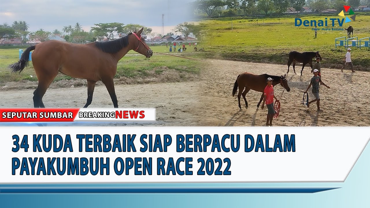34 KUDA TERBAIK SIAP BERPACU DALAM PAYAKUMBUH OPEN RACE 2022 - YouTube