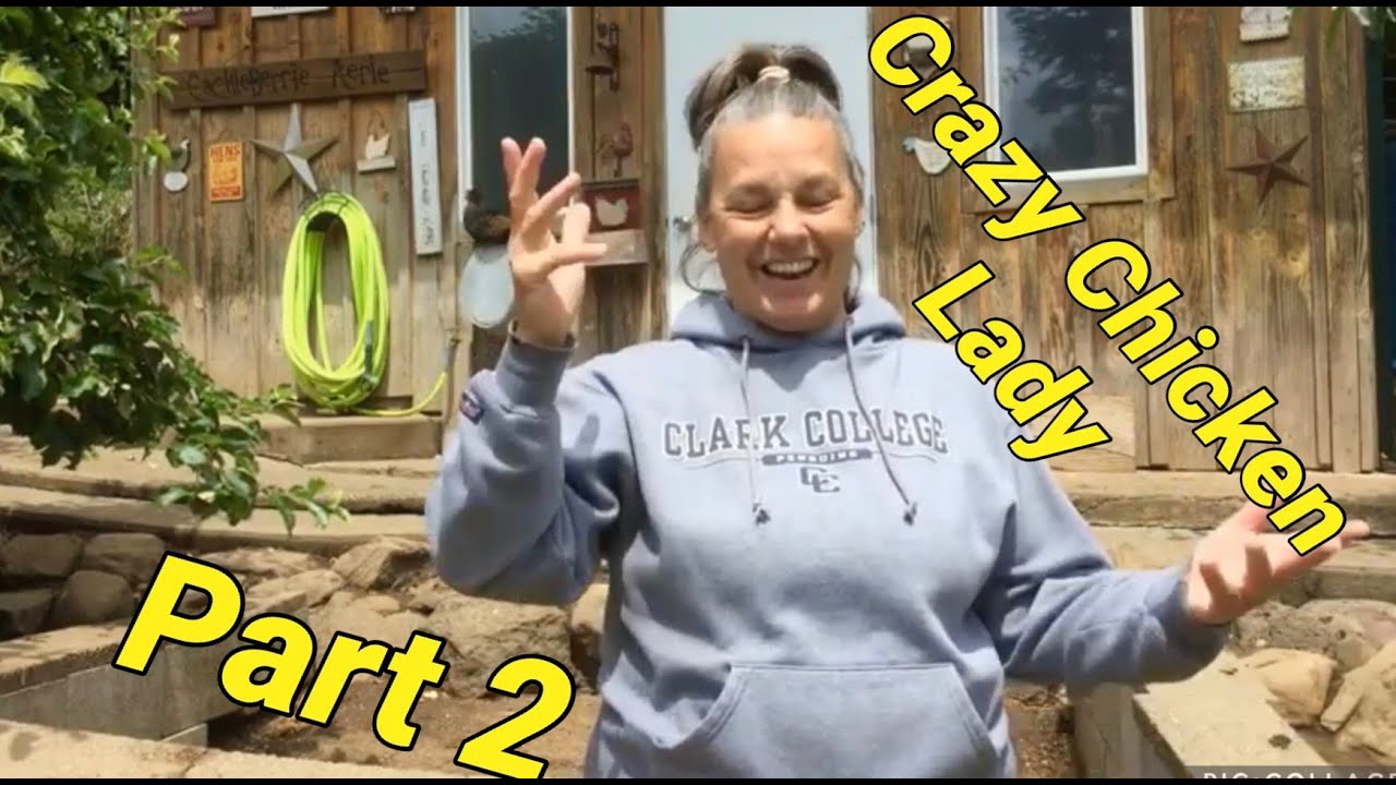 Chicken lady part 2: Tips for raisng chickens, favorite breeds, how old ...
