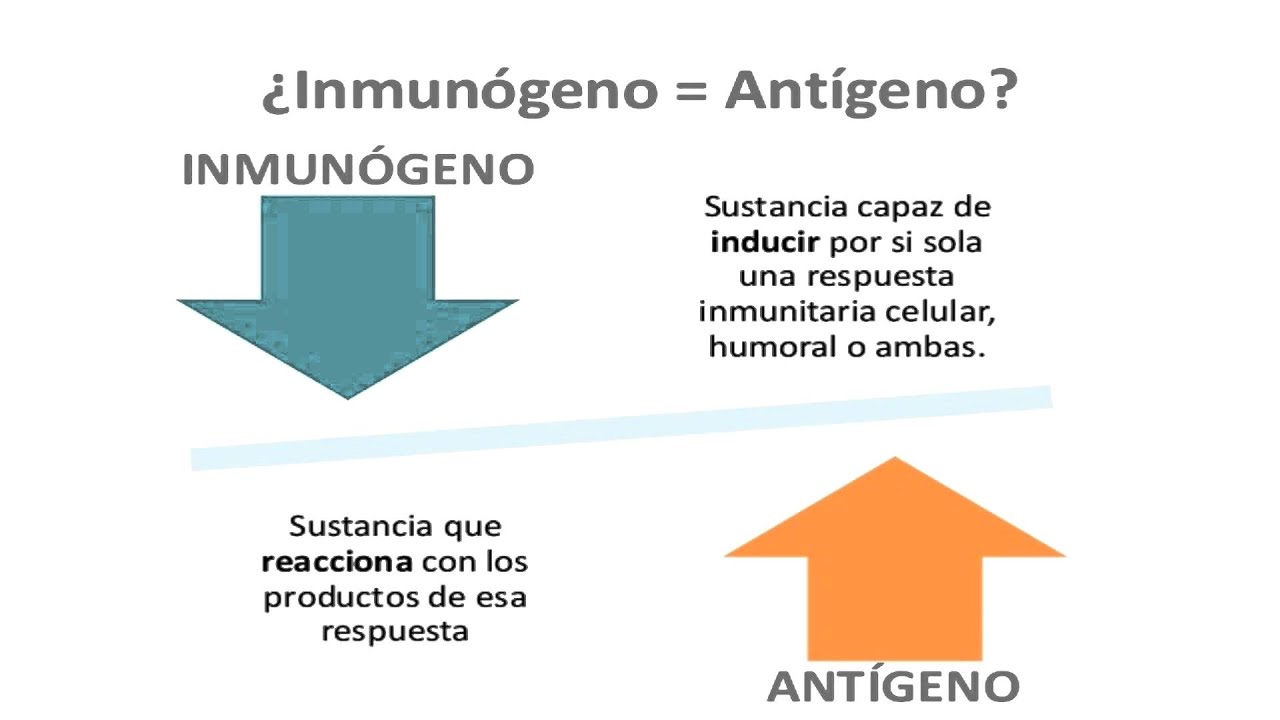 Inmunogenicidad y antigenicidad - YouTube
