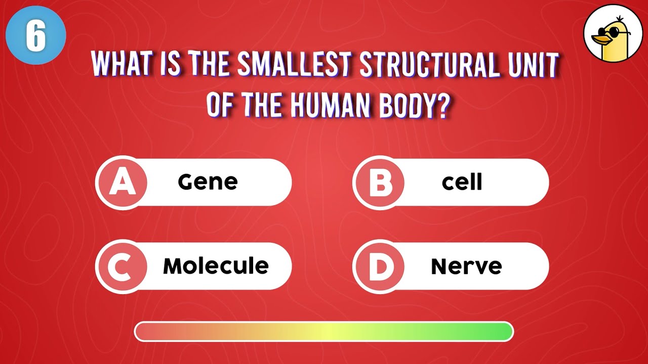 20 general knowledge questions for smart people | Duckling Quiz - YouTube