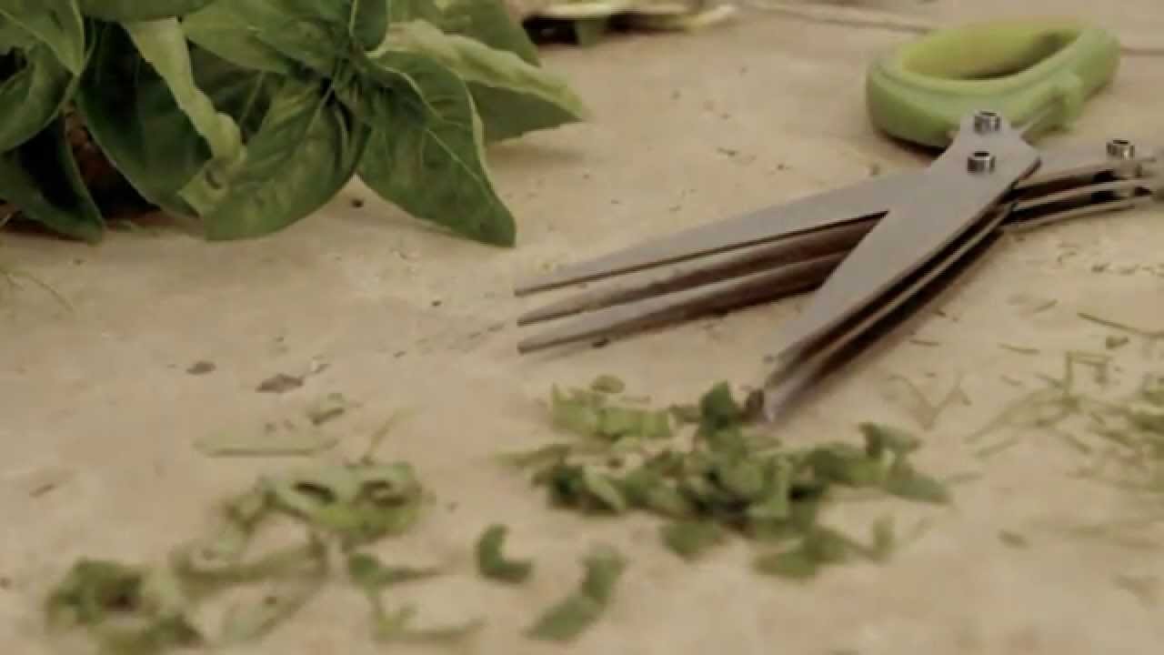 Park Seed's Triple Blade Herb Scissors - YouTube