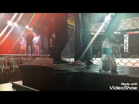 Melhores momentos MMA