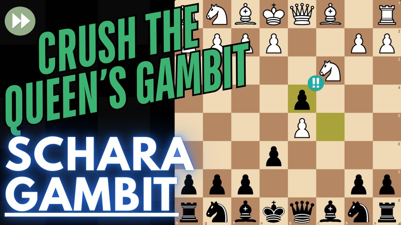 Schara Gambit Guide – Queen’s Gambit Counter - YouTube
