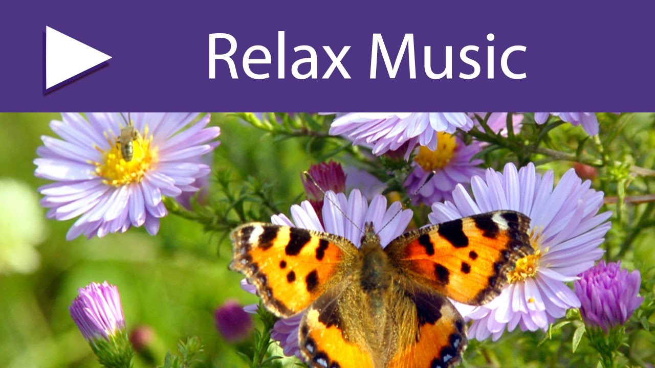 Spring Equinox: Spring Music with Nature Sounds and Soft Peaceful Songs ...