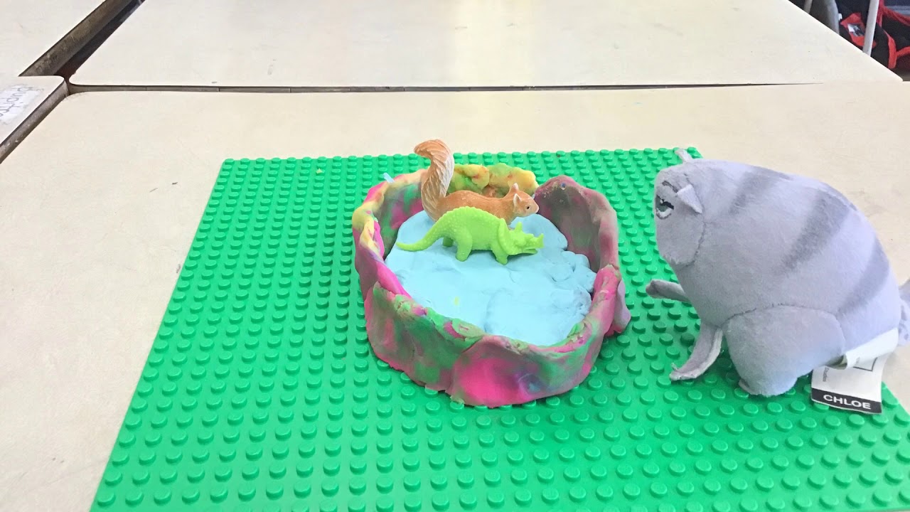 The animal pool party - YouTube