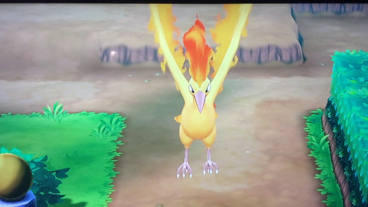 Alfie winfieldale cotta a third legendary Pokémon - YouTube