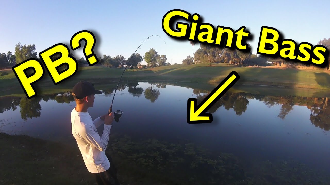 HOOKED UP on a GIANT BASS!!!! Golf Course Fishing!!! - YouTube
