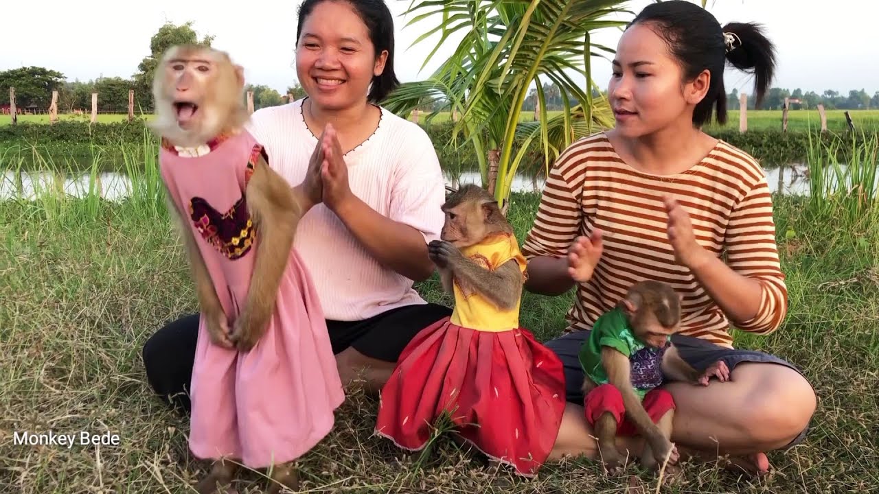 Yaya Standing Dace Style Show To Family / Real Happiness on The Farm ...