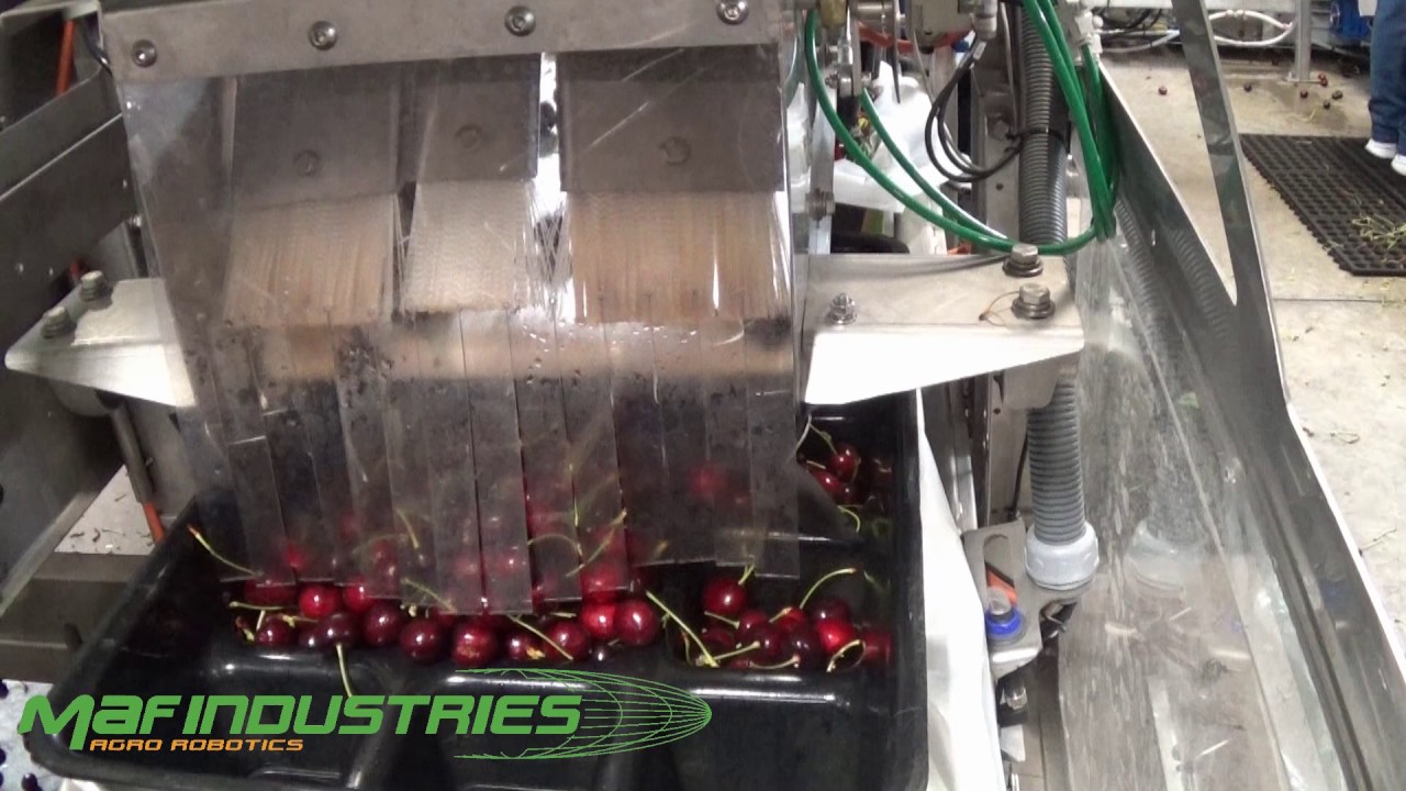 cherry automated filler 01 - YouTube