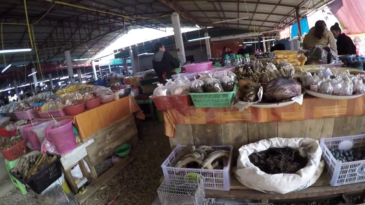 #ตลาดเช้า-เย็น เมืองโพนสะหวัน เชียงขวาง# Phonsavan market# - YouTube