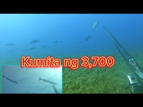 MasaganAng Karagatan PunO pa ng Isda Ang BahurA😲👌# ...