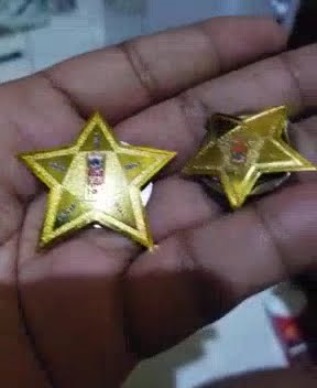Pin Bros Atribut PTSP Jakarta Pin Pelayanan Terpadu Satu Pintu DKI JAYA ...