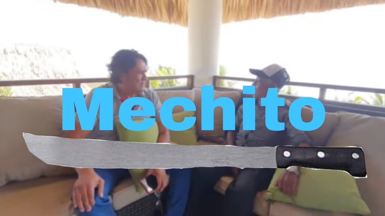 Las Mejores Frases De Mechito #mechito - YouTube