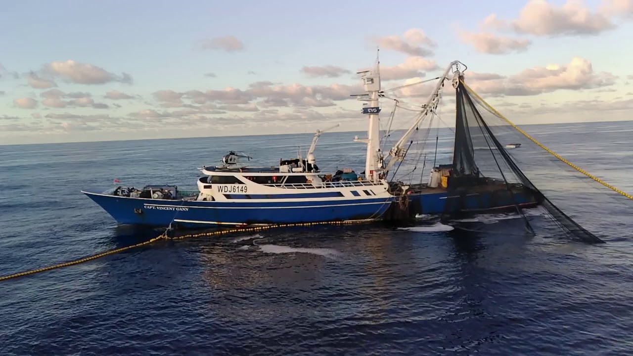 Tuna Fishing Vessel CVG Rolling Net In The Early Morning - YouTube