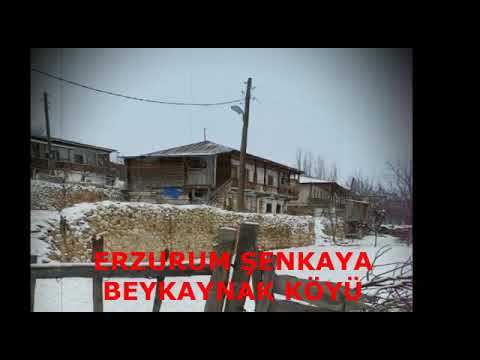Beni köyümün yağmurlarında yıkasınlar yıkasınlar .