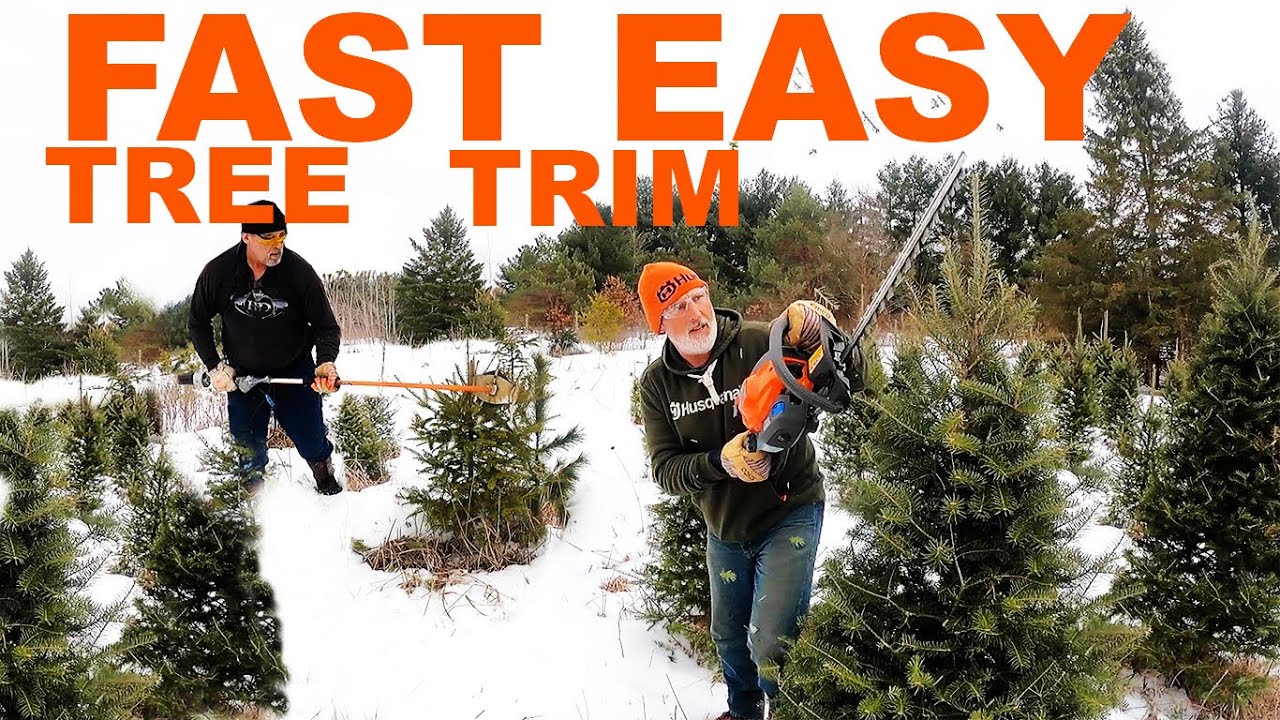 FIREWOOD TRAGEDY & TRIMMING CHRISTMAS TREES - YouTube