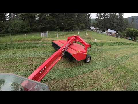 Going For 2nd Cut Alfalfa Hay - Mowing With Massey 1393 & John Deere 7330p - YouTube