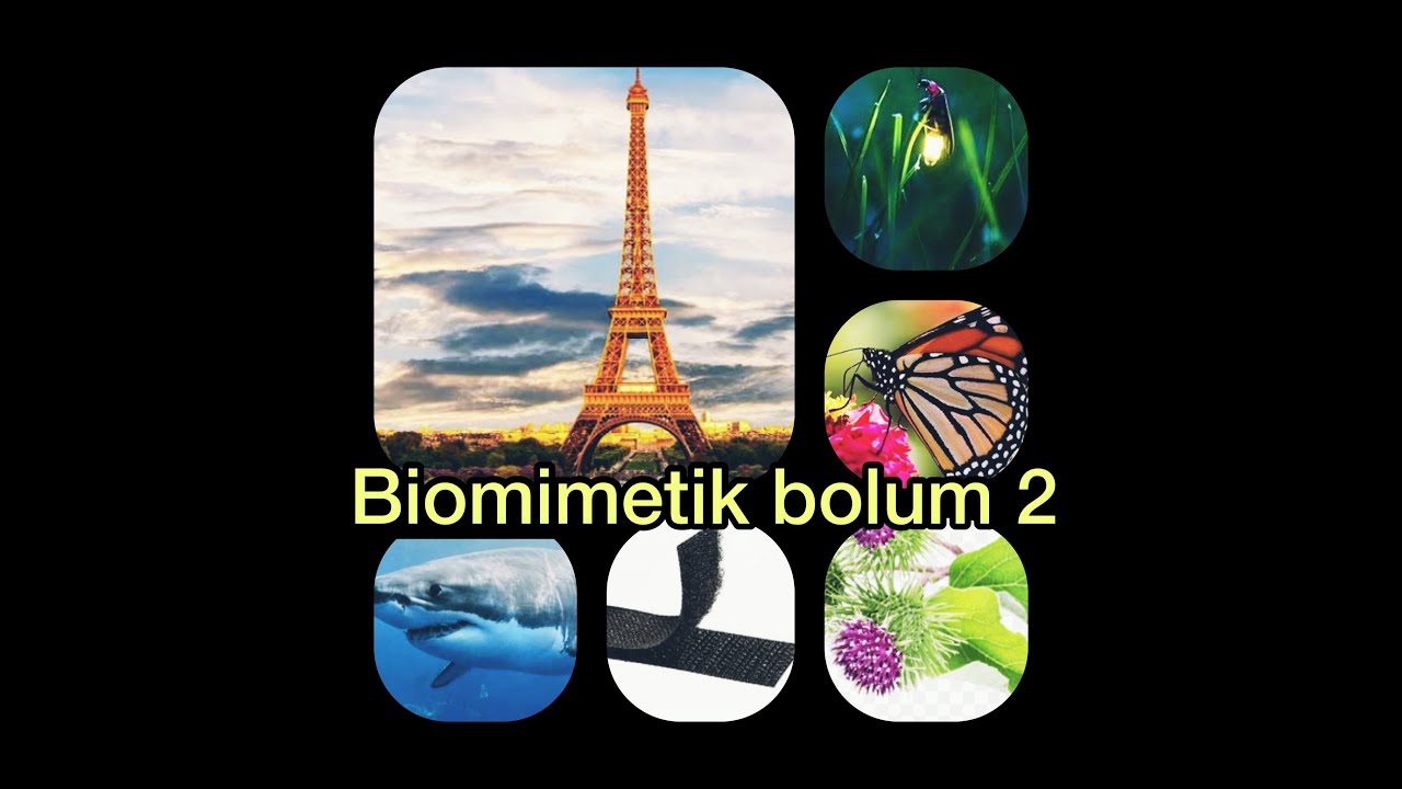 Biomimetik Videosu - Bölüm 2 - YouTube