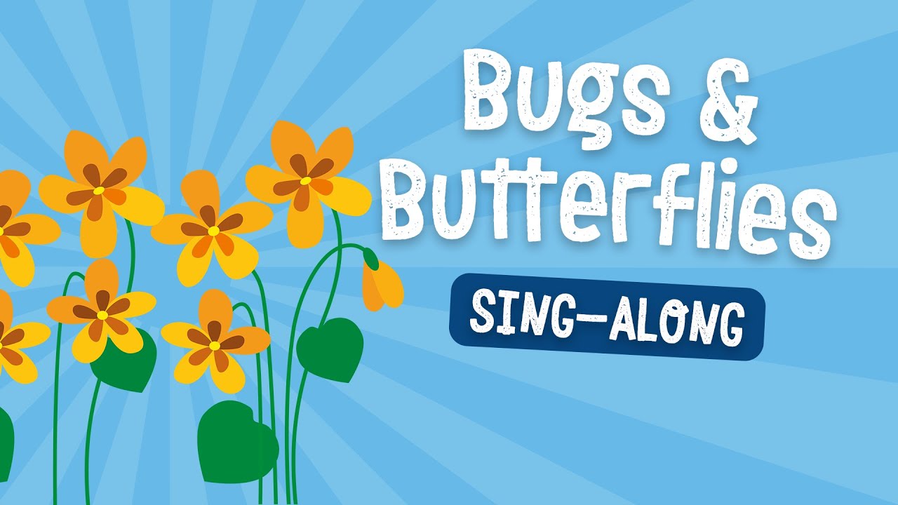 Bugs And Butterflies - School Assembly Song - Sing Along - YouTube