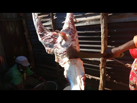 HOW TO PORTION GOAT 🐐 MEAT IN THE VILLAGE (diy3)