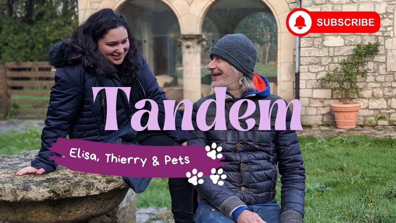 LANCEMENT DE LA CHAÎNE TANDEM + ACTION DANS UN REFUGE SPA - YouTube