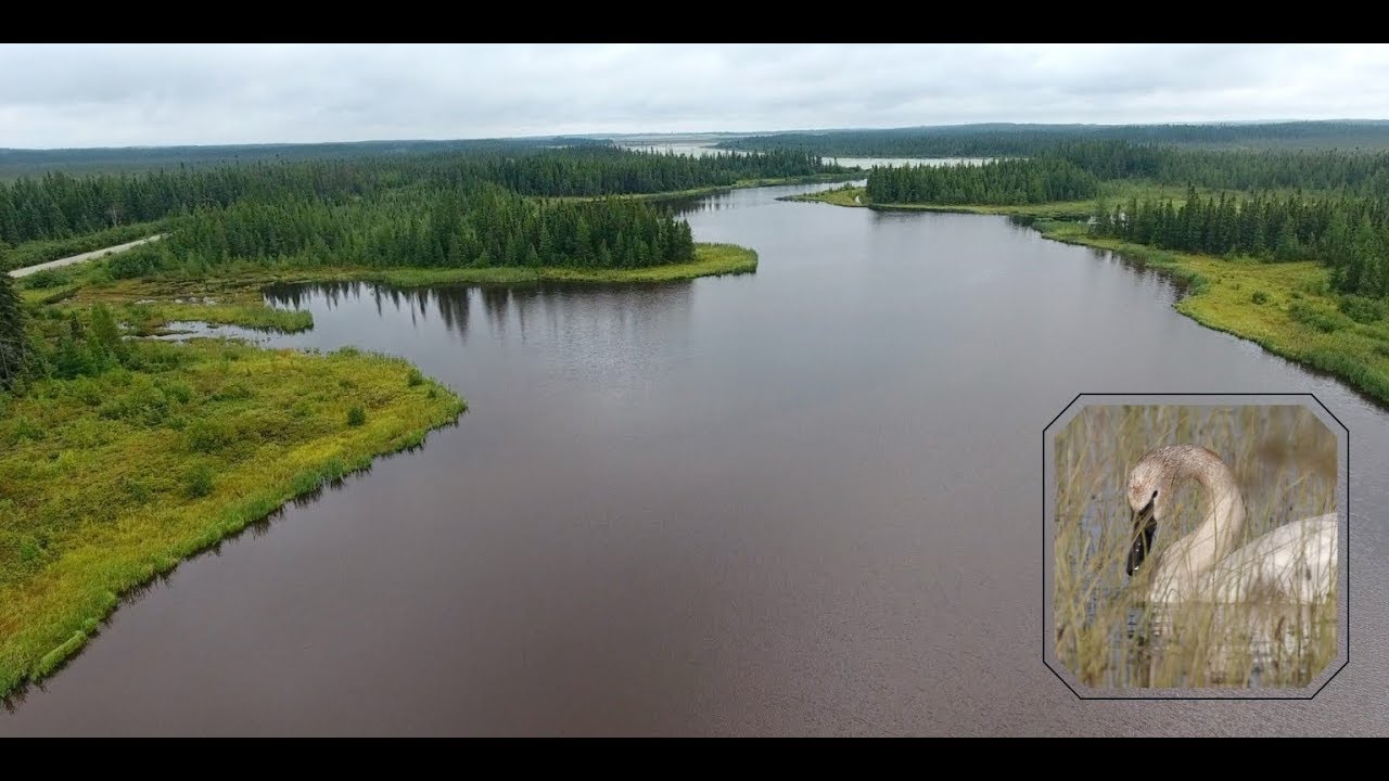 Manitou-Goldex project - English - YouTube