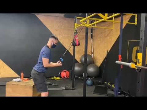 Tríceps pulley inverso - elástico - YouTube