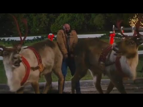 Disney Dashing Through The Snow: Reindeer Butt Sandwich - YouTube