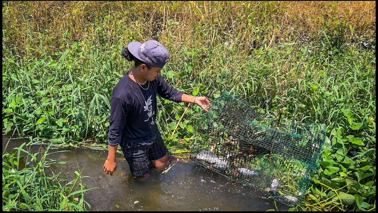 5 Hari berburu pasang perangkap ikan buat ikan asin rica-rica & cari ...