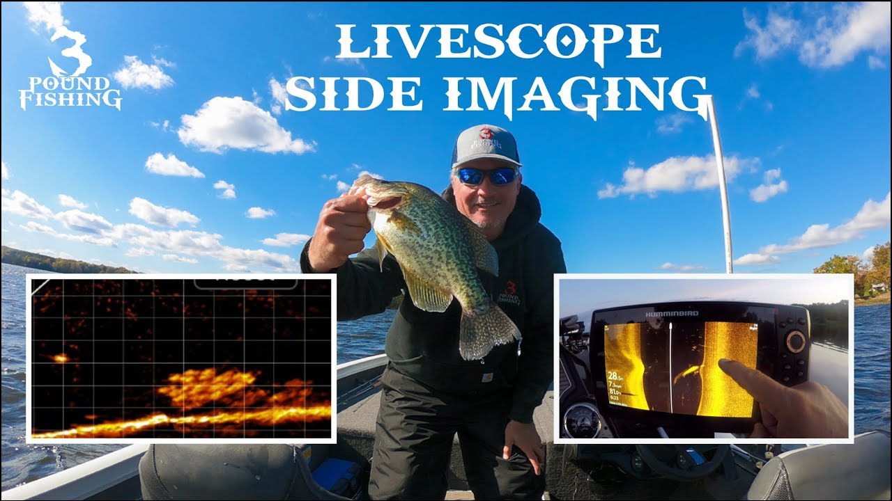 LiveScope Side Imaging Fall Crappie - YouTube